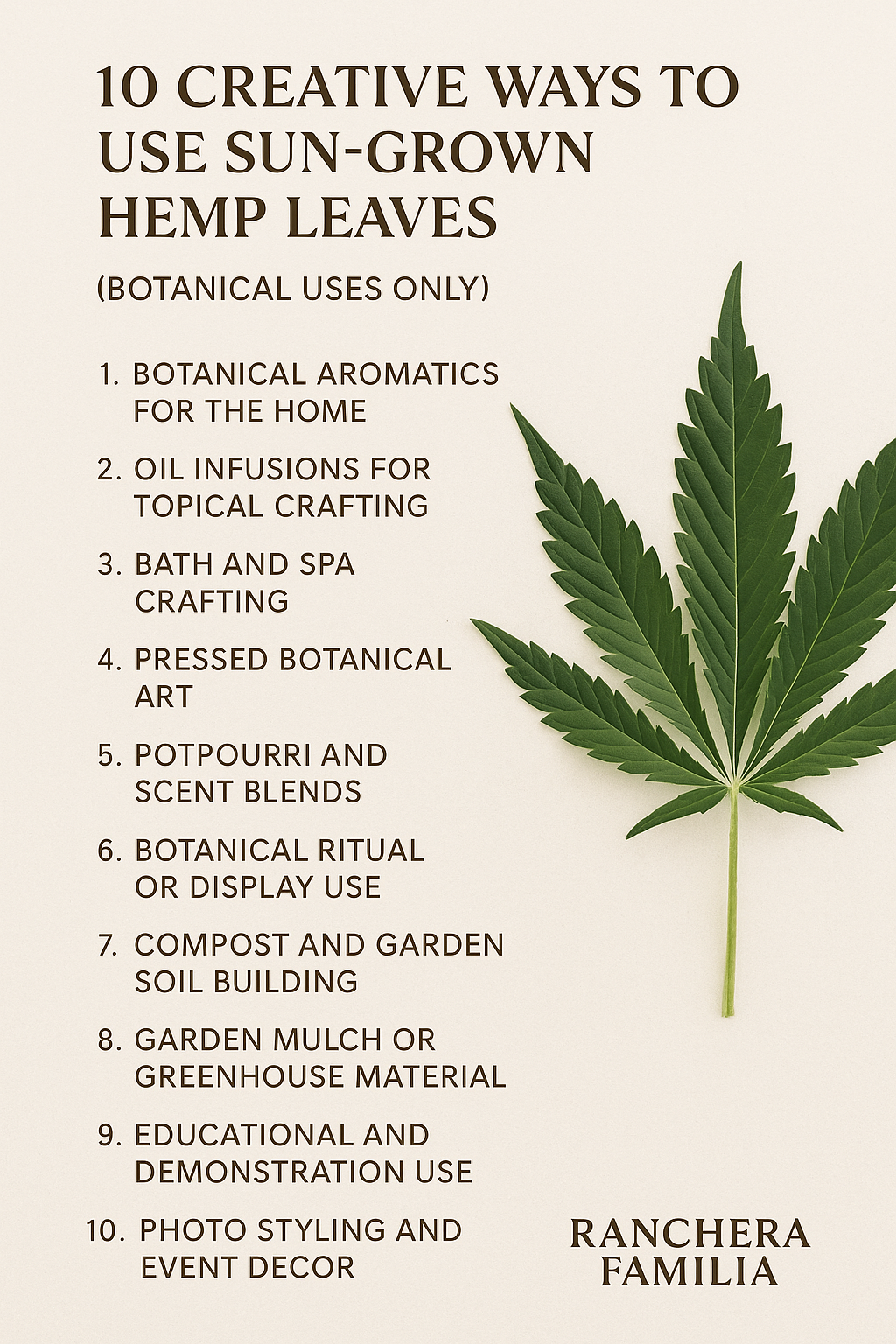 10 Creative Ways to Use Sun-Grown Hemp Leaves (Botanical Uses Only ...